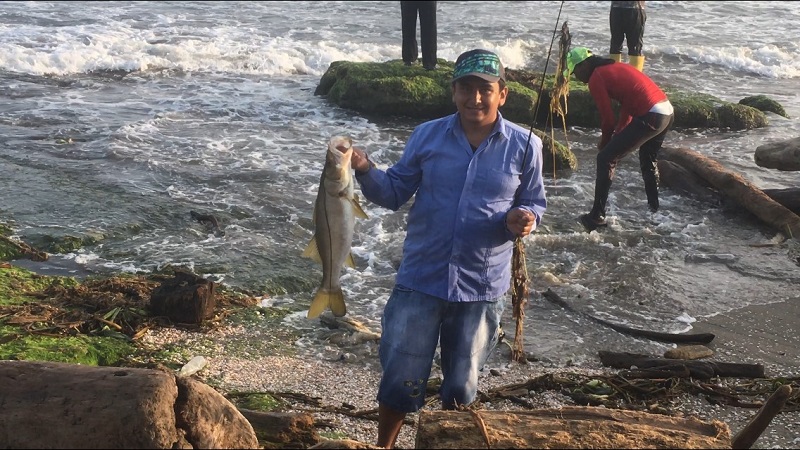 Vídeo: Se reactiva la pesca deportiva en playas de Puerto Colombia ...