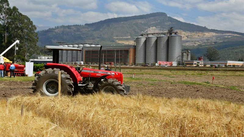 Inauguran primera estación de cebada maltera para producir cerveza en ...